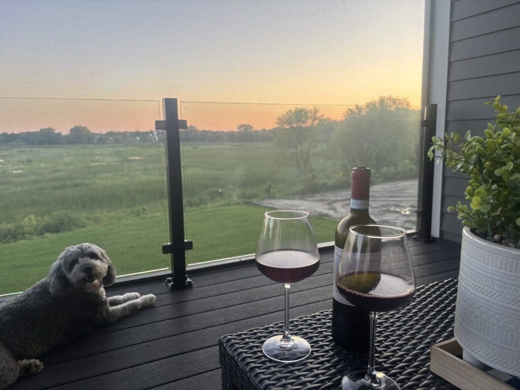 A Serene View Framed in Glass: eGlass Vision Porch in Victoria ...